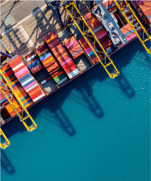 Springbok Trading & Logistics